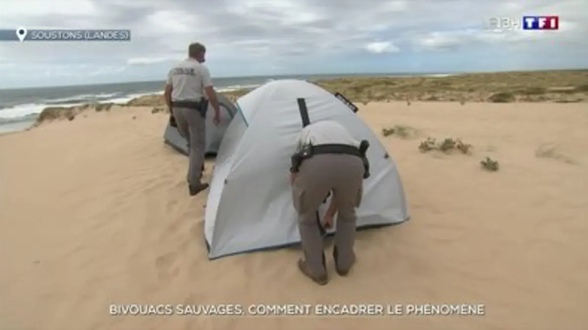 Replay Journal de TF1 du 20/08/2024 : Bivouacs sauvages : comment encadrer le phénomène