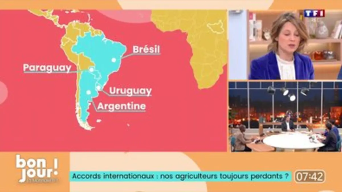 Replay Bonjour ! La Matinale TF1 du 01/02/2024 : Bonjour ! La Matinale ...