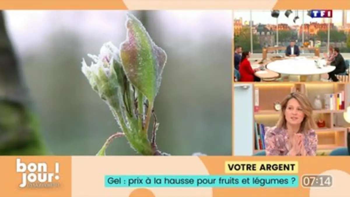 Replay Bonjour ! La Matinale TF1 du 23/04/2024 : Bonjour ! La Matinale ...
