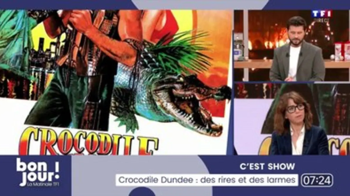 Replay Bonjour ! La Matinale TF1 du 26/12/2024 : C'est show : Crocodile Dundee, des rires et des ...
