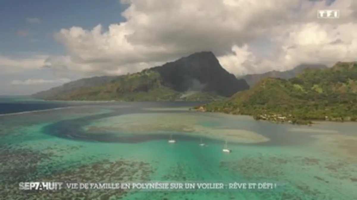 Replay Sept à huit du 15/09/2024 : Cap sur Tahiti : le défi d'une vie ...