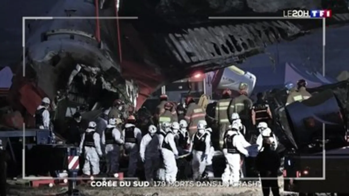 Replay Journal de TF1 du 29/12/2024 : Corée du Sud : 179 morts dans un crash