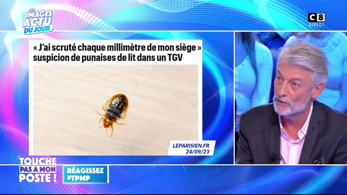 Replay Touche pas à mon poste ! du 26/09/2023 : Des punaises de lits repérées dans un TGV
