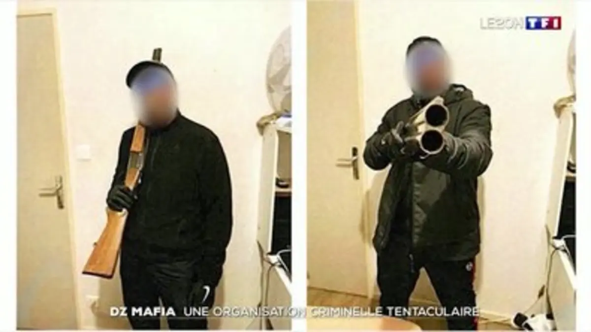 Replay Journal de TF1 du 07/10/2024 : DZ Mafia : une organisation ...