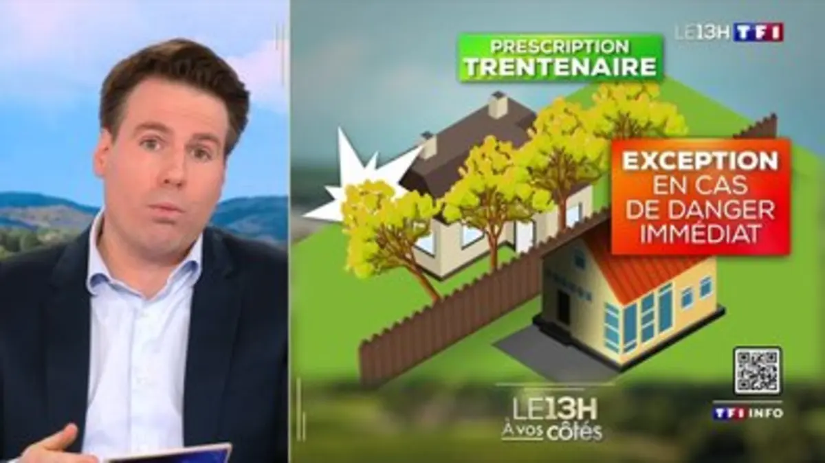 Replay Journal de TF1 du 12/12/2024 : Extrait du 13 heures du 12 décembre 2024