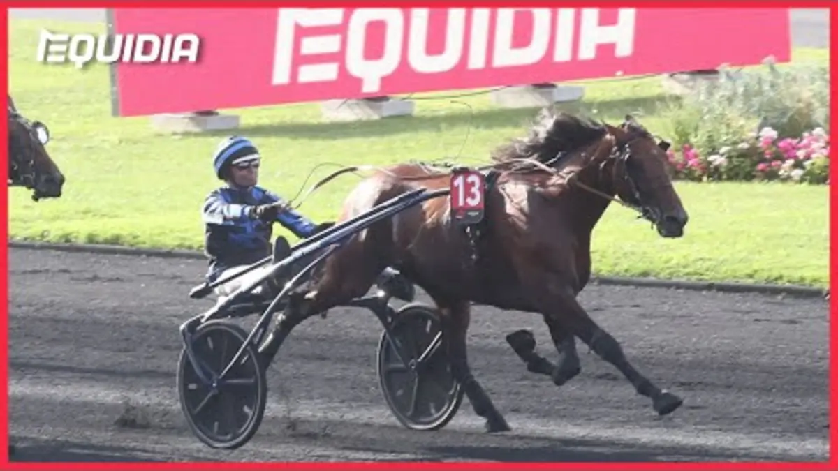 Replay Equidia du 17/09/2023 : Idao de Tillard s'adjuge le Critérium ...