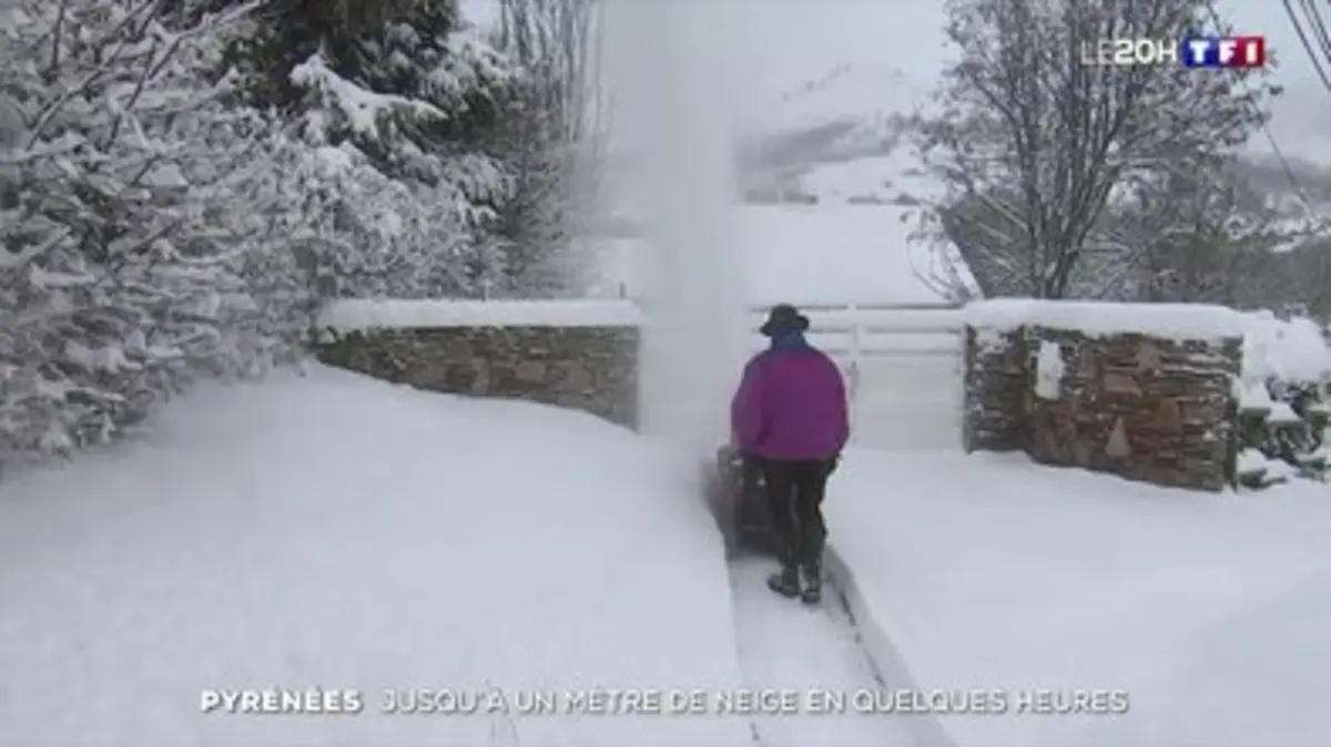 Replay Journal de TF1 du 08/12/2024 : Jusqu'à un mètre de neige en quelques heures dans les Pyrénées