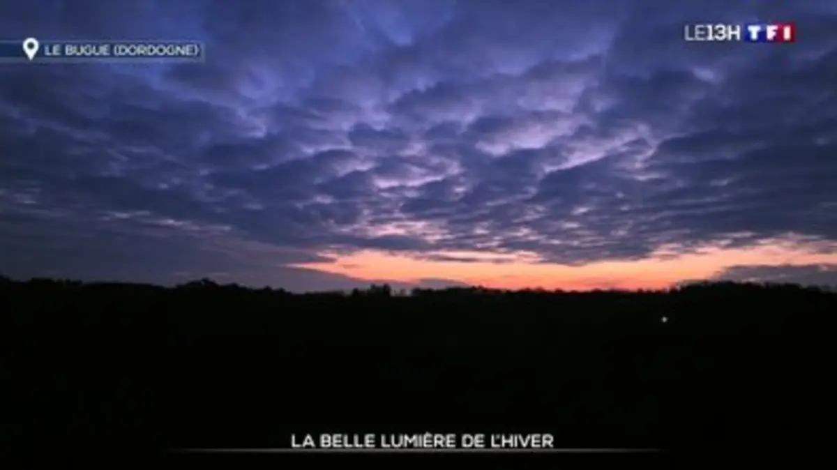 Replay Journal de TF1 du 11/12/2024 : La belle lumière de l'hiver
