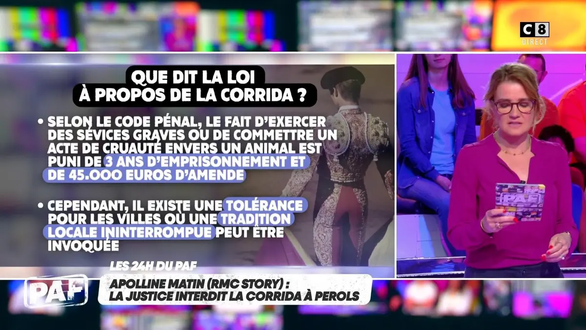 Replay Touche pas à mon poste ! du 07/06/2024 : La justice interdit la corrida à Pérols