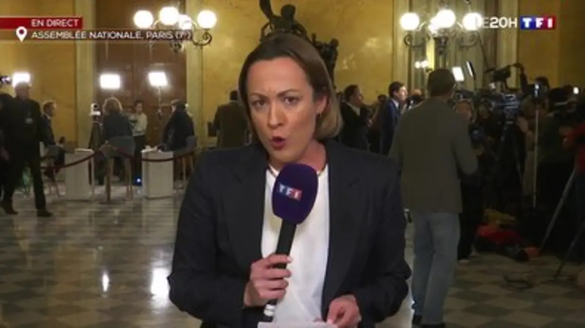 Replay Journal de TF1 du 04/12/2024 : La motion de censure adoptée : le gouvernement Barnier ...