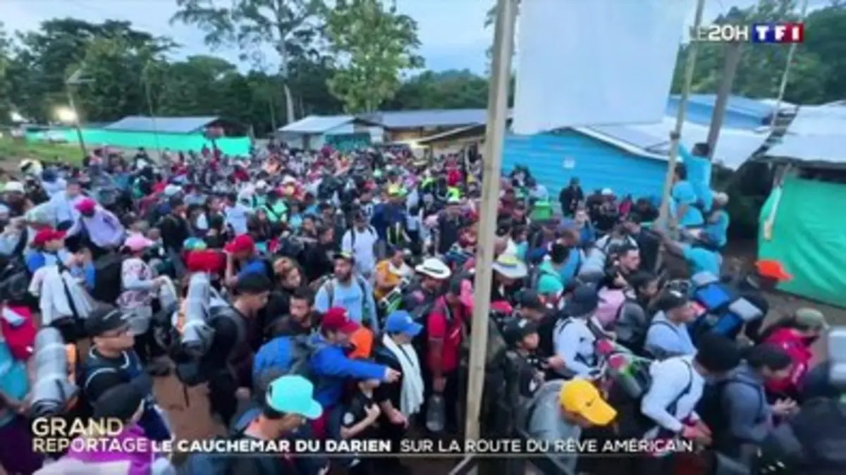 Replay Journal de TF1 du 03/10/2024 : Le cauchemar du Darien : sur la route du rêve américain