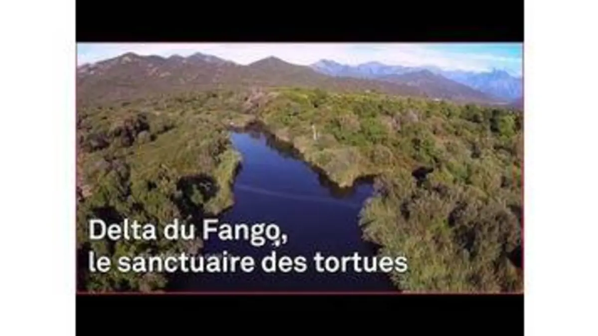 Replay Des racines et des ailes du 12/03/2018 : Le delta du…