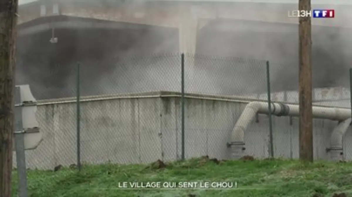 Replay Journal de TF1 du 25/12/2024 : Le village qui sent le chou