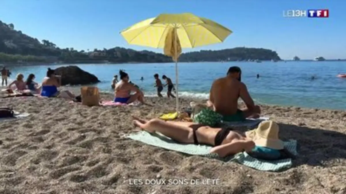 Replay Journal de TF1 du 04/07/2024 : Les doux sons de l'été