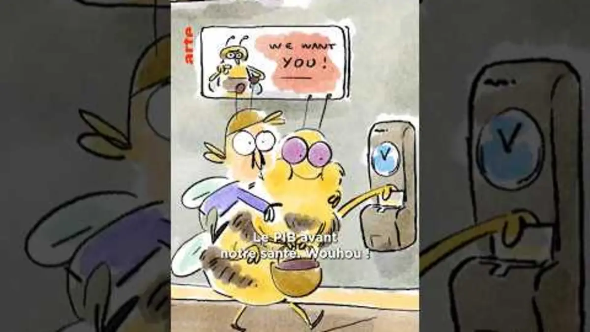 Replay Tu mourras moins bête du 06/06/2024 : Les insectes font-ils dodo ...