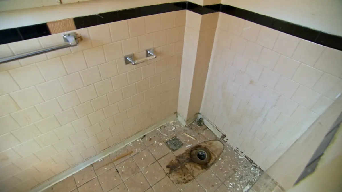 Replay Les rois de la réno du 01/02/2025 : Les rois de la réno : S9 E7 ...