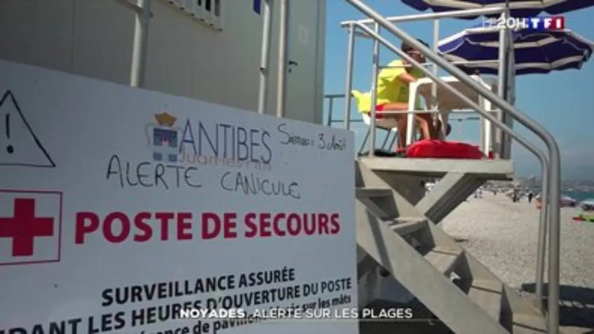 Replay Journal de TF1 du 03/08/2024 : Noyades : alerte sur les plages