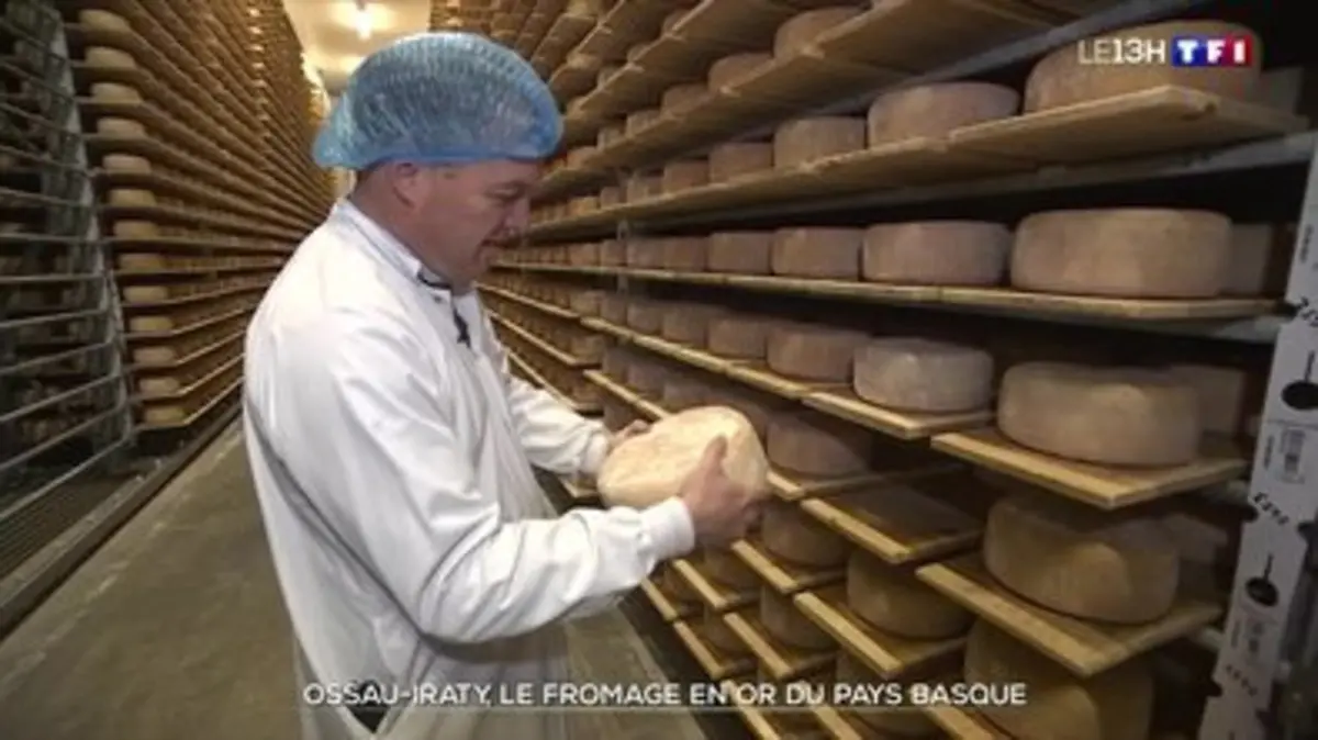 Replay Journal de TF1 du 24/12/2024 : Ossau-Iraty : le fromage en or du Pays basque