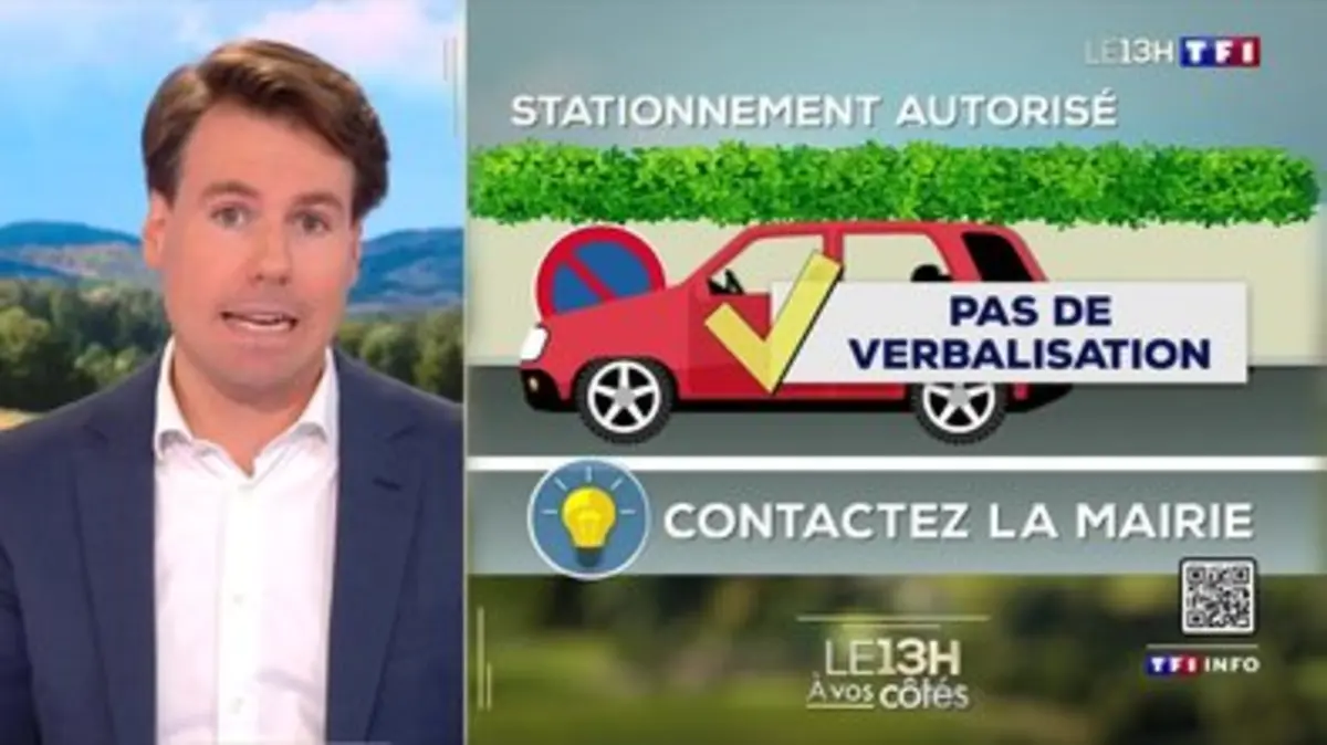 Replay Journal de TF1 du 04/09/2024 : Panneaux de stationnement : sont-ils tous réglementaires ...