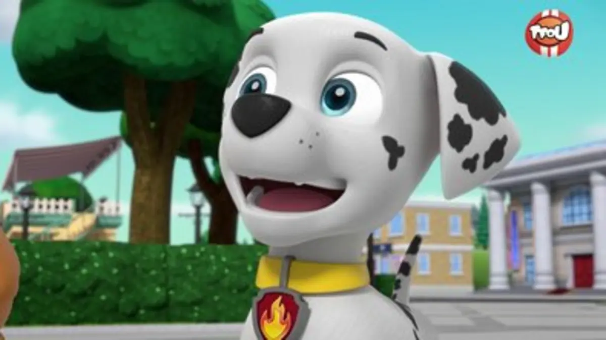 Replay TFou du 21/09/2024 : Paw Patrol, la Pat'Patrouille - Digi et Tal ...