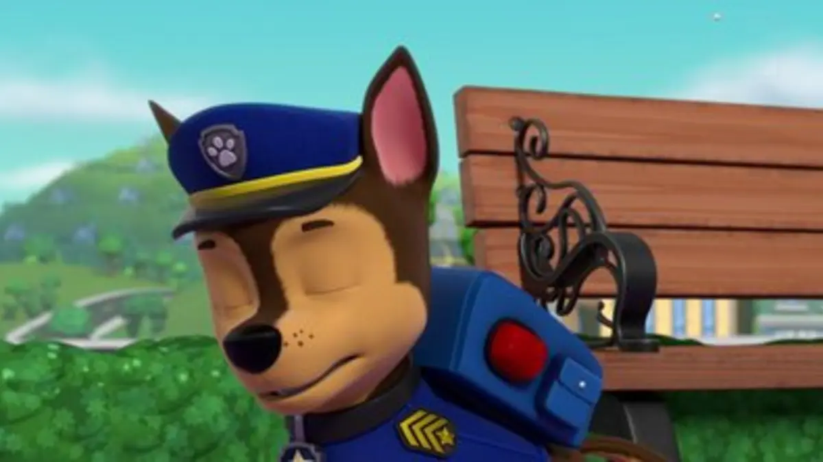 Replay TFou du 11/01/2025 : Paw Patrol, la Pat'Patrouille - Galinetta ...