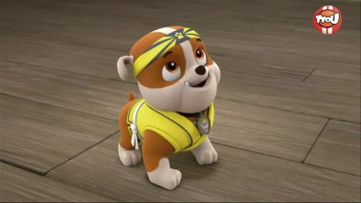 Replay TFou du 07/02/2024 : Paw Patrol, la Pat'Patrouille - Comme ...