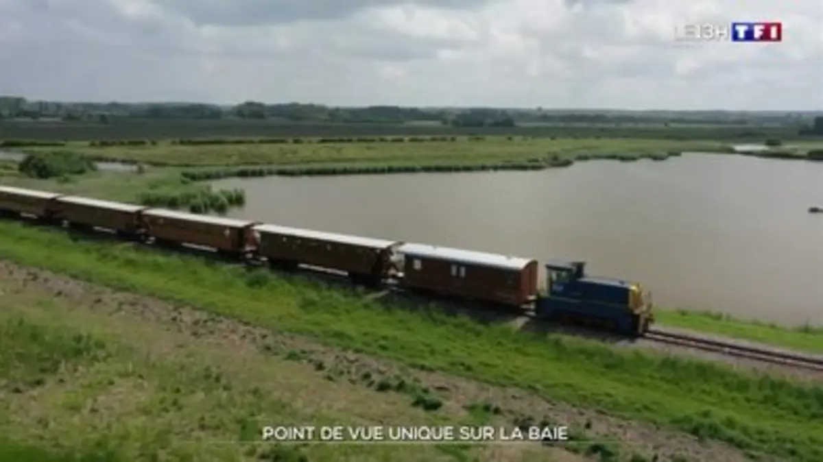 Replay Journal de TF1 du 19/06/2024 : Point de vue unique sur la baie