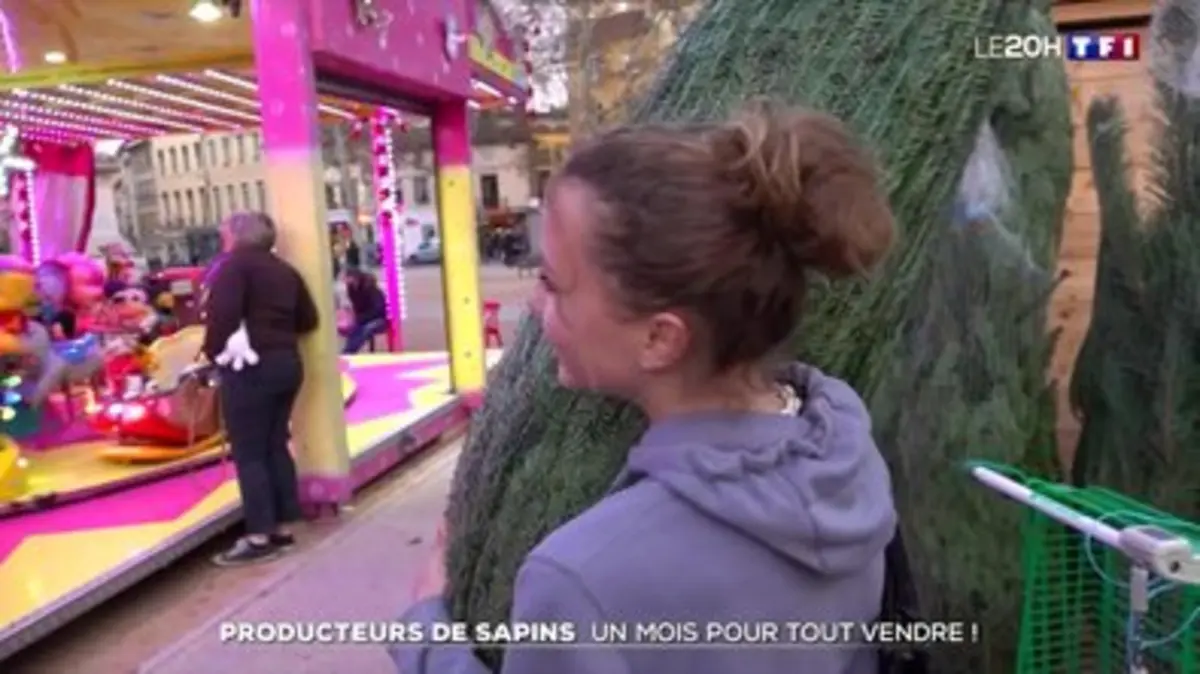 Replay Journal de TF1 du 06/12/2024 : Producteurs de sapins : un mois pour tout vendre