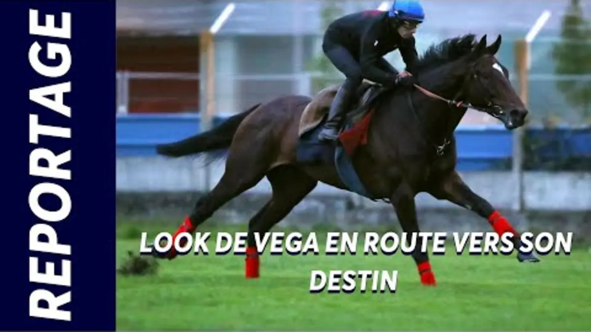 Replay Top courses du 30/09/2024 : QATAR PRIX DE L' ARC DE TRIOMPHE : LOOK DE VEGA EN ROUTE VERS ...