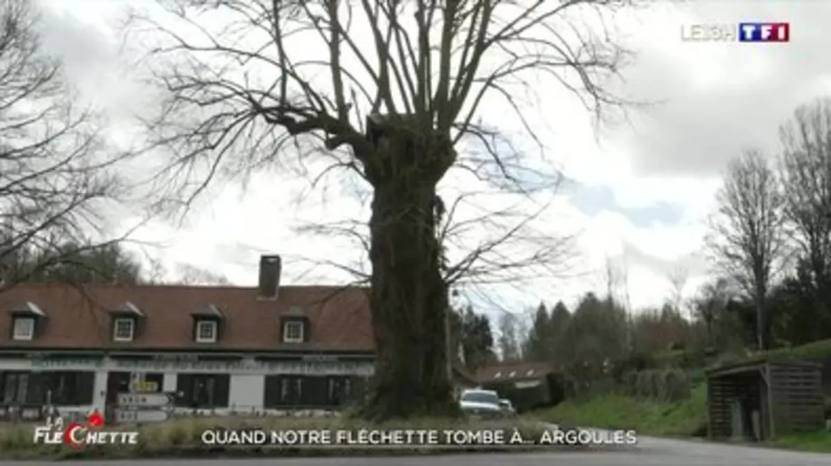 Replay Journal de TF1 du 16/04/2024 : Quand notre fléchette tombe à... Argoules