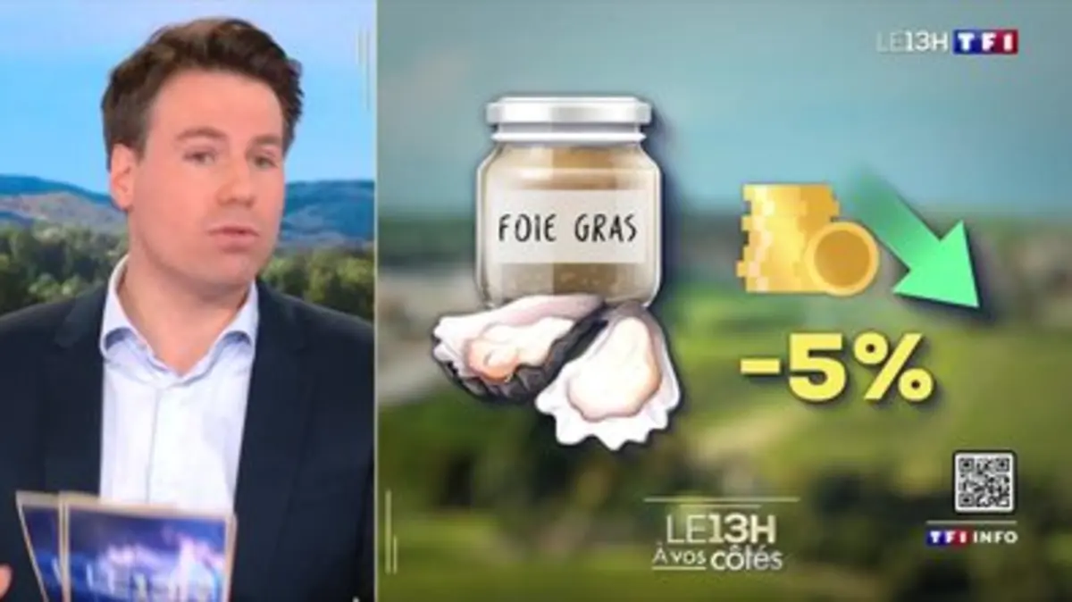 Replay Journal de TF1 du 20/12/2024 : Repas de Noël : quelles astuces pour payer moins cher ? Le ...