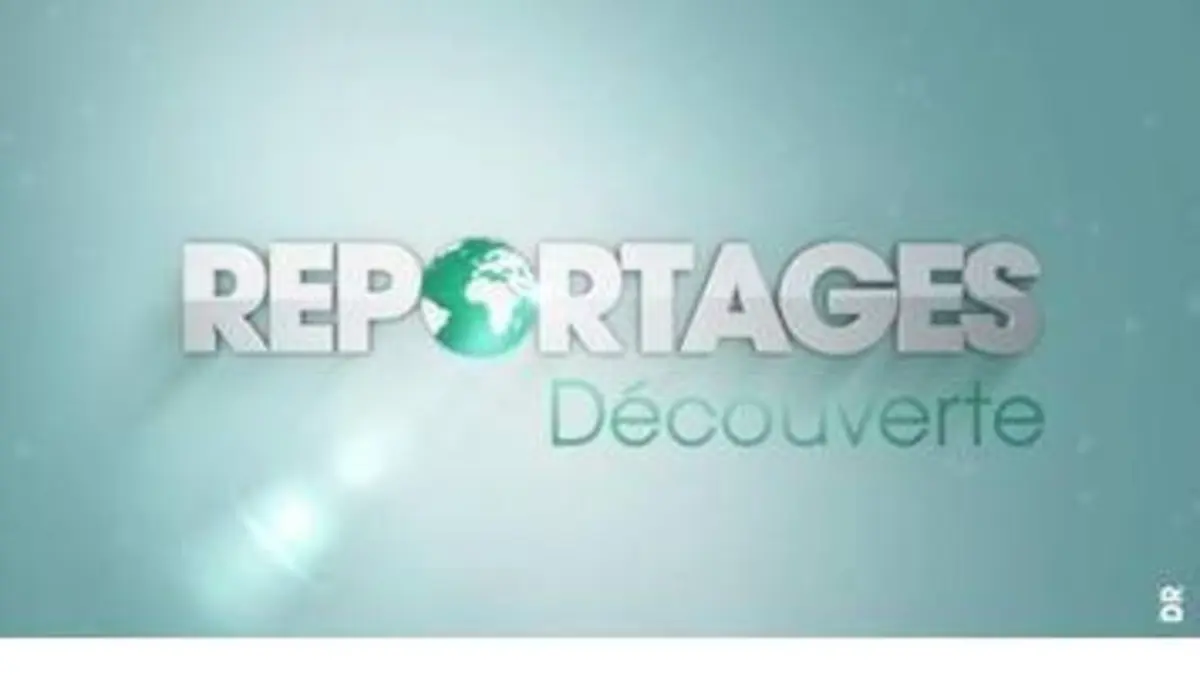 Replay Reportages découverte du 11/02/2017 : Reportages découverte du 11 février 2017 - 7 Jours 7…