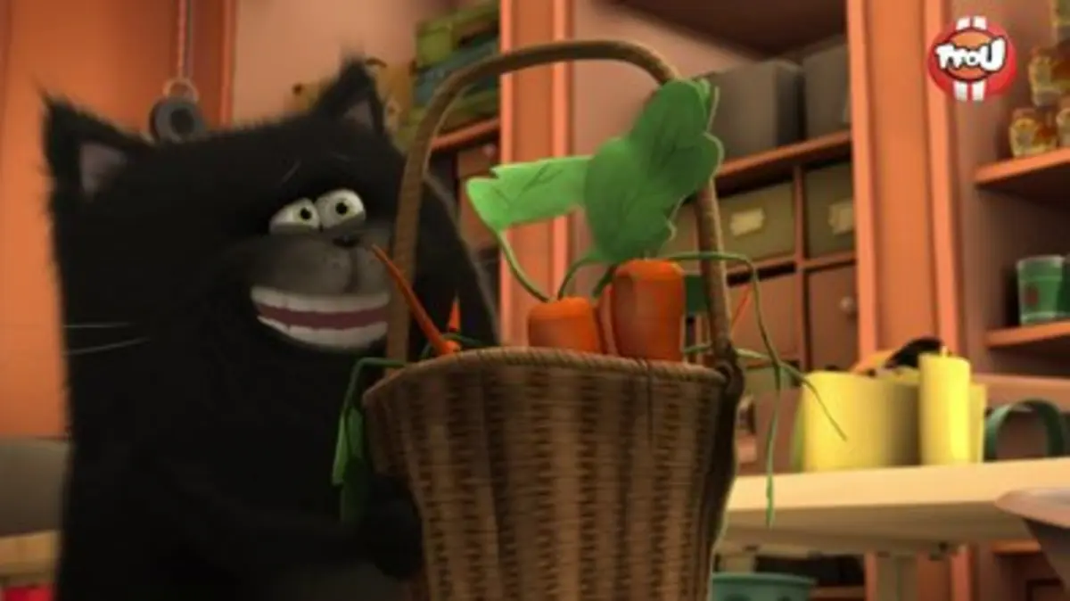 Replay TF1 du 30/06/2024 : Splat & Harry - Responchable