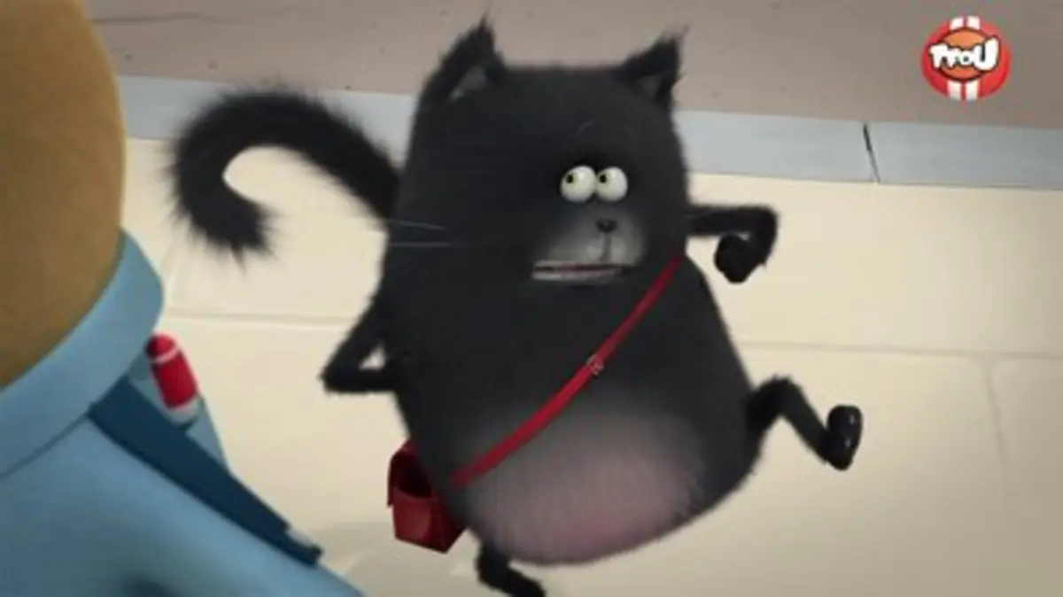 Replay TF1 du 24/04/2024 : Splat & Harry - Saperlipelote