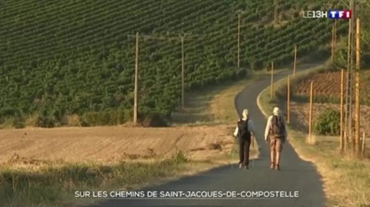 Replay Journal de TF1 du 24/12/2024 : Sur les chemins de Saint-Jacques-de-Compostelle