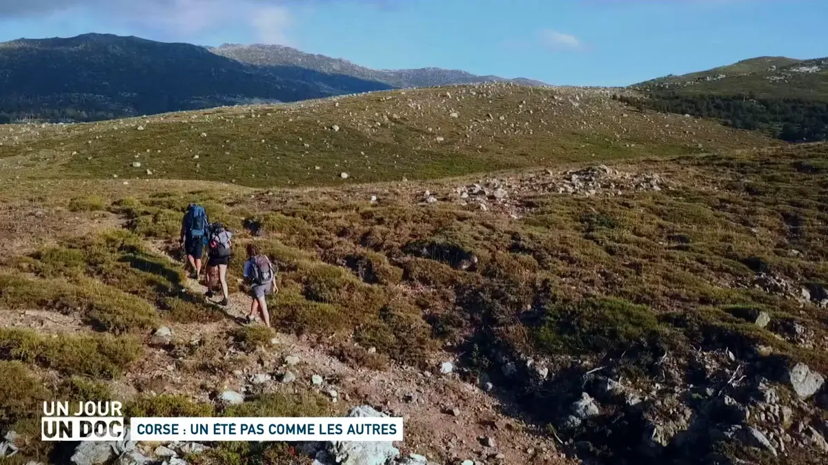 Replay Un jour, un doc du 05/07/2024 : Un jour, un doc : Corse : un été ...