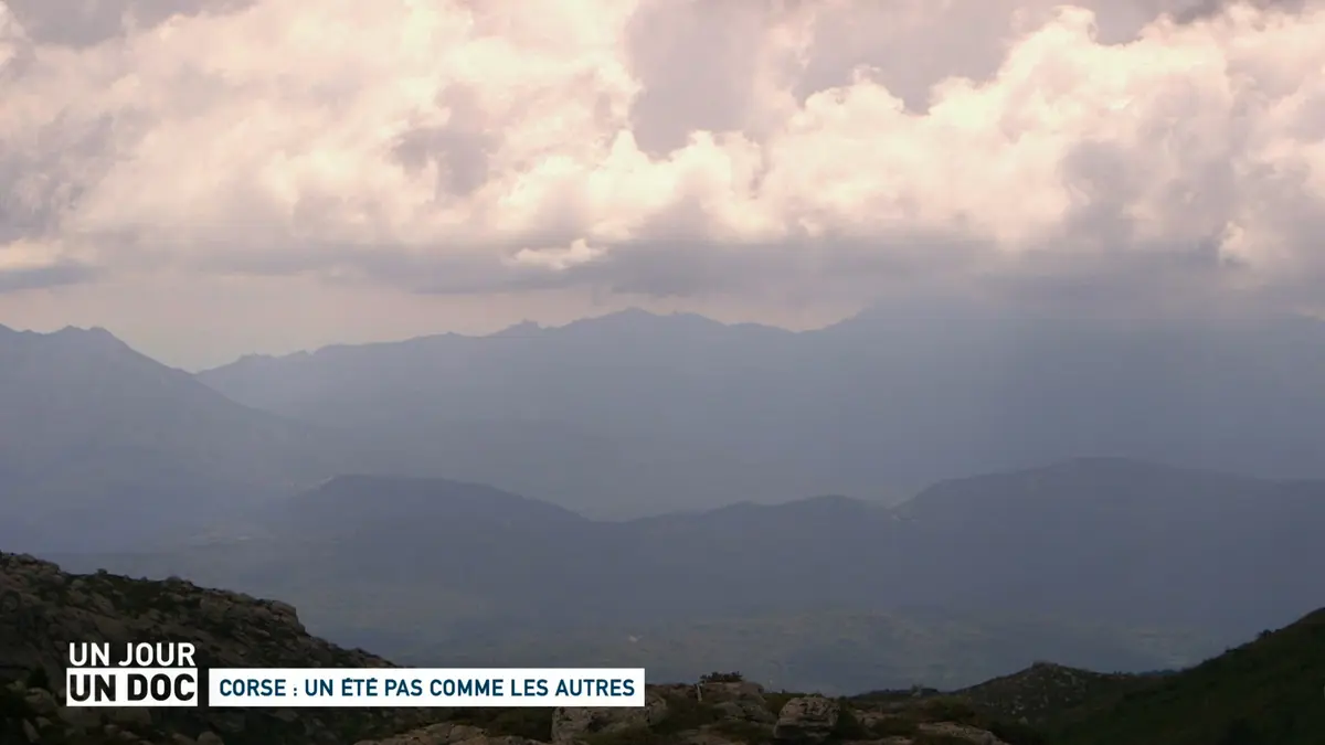 Replay Un jour, un doc du 05/07/2024 : Un jour, un doc : Corse : un été ...