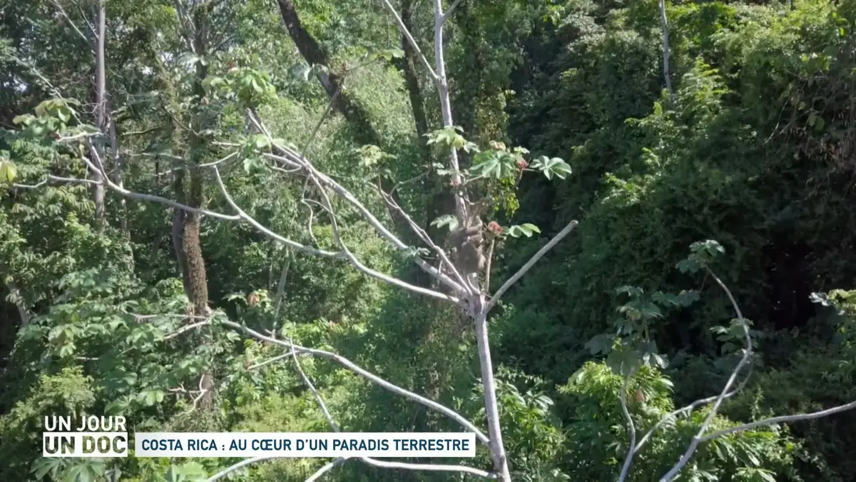 Replay Un jour, un doc du 27/12/2024 : Un jour, un doc : Costa Rica ...