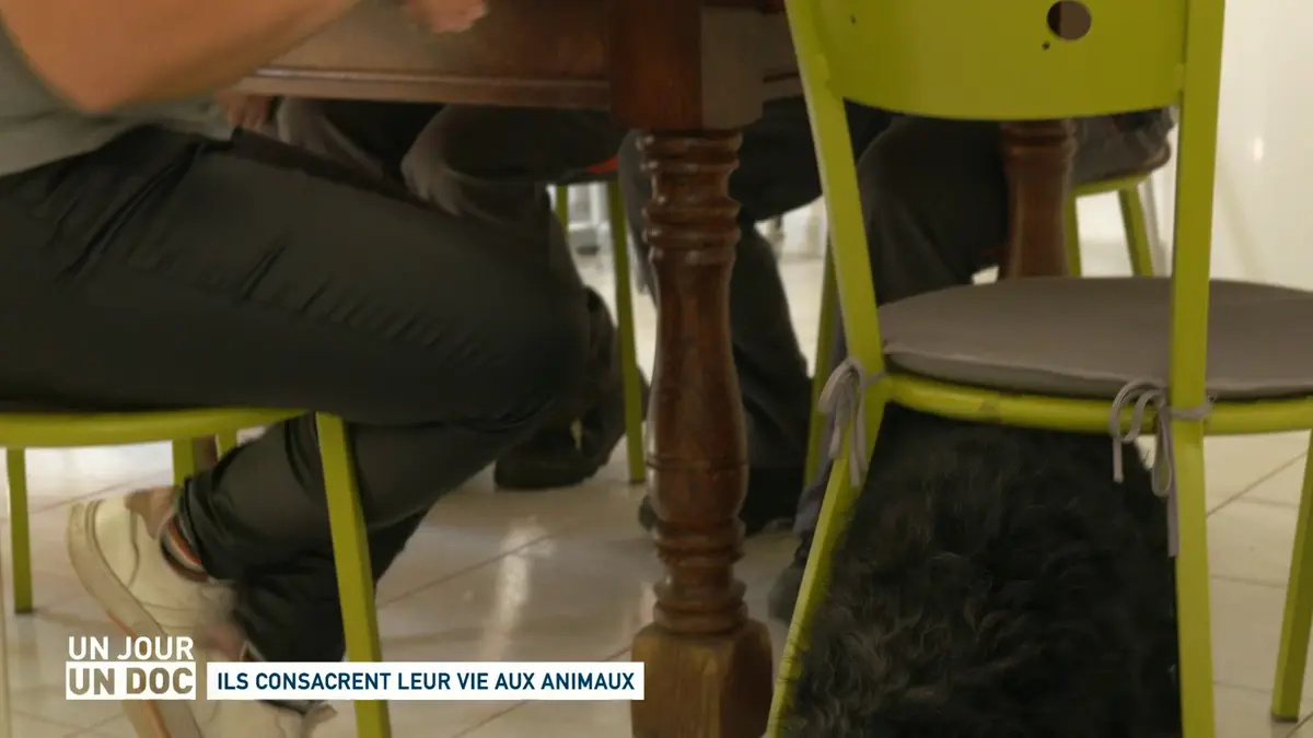 Replay Un jour, un doc du 23/07/2024 : Un jour, un doc : Ils consacrent ...