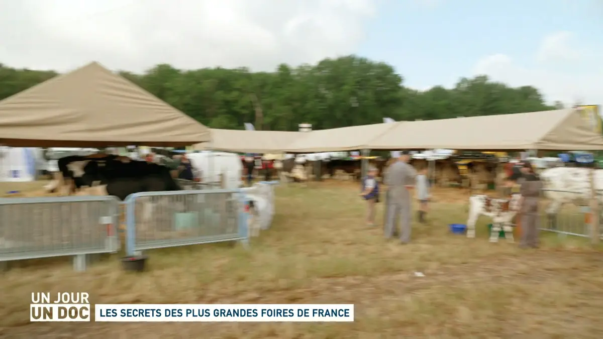 Replay Un jour, un doc du 14/06/2024 : Un jour, un doc : Les secrets ...