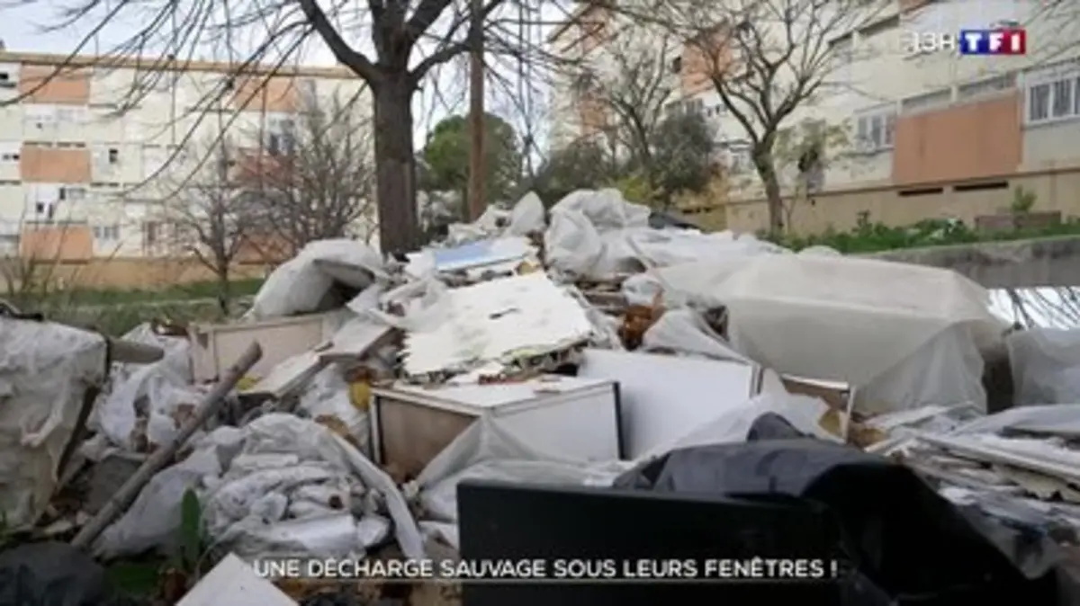 Replay Journal de TF1 du 04/12/2024 : Une décharge sauvage sous leurs fenêtres