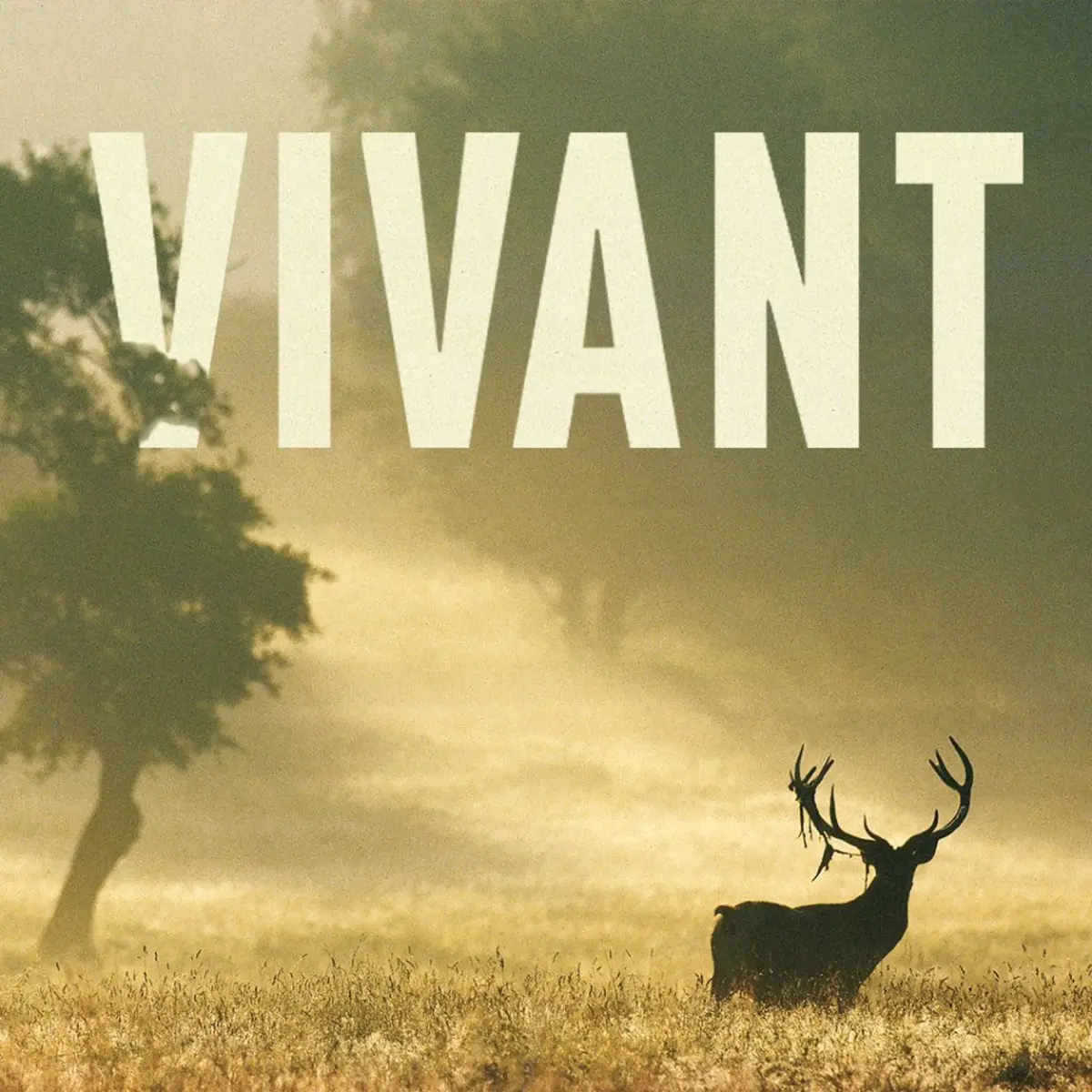 Replay Vivant du 22/05/2023 : Vivant