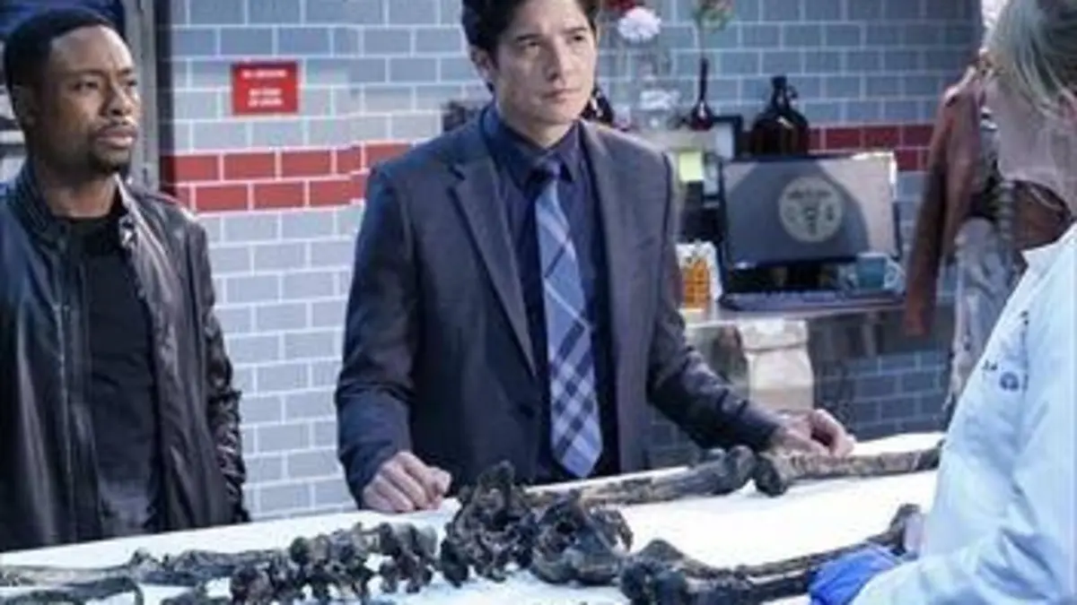 Rush Hour - Série