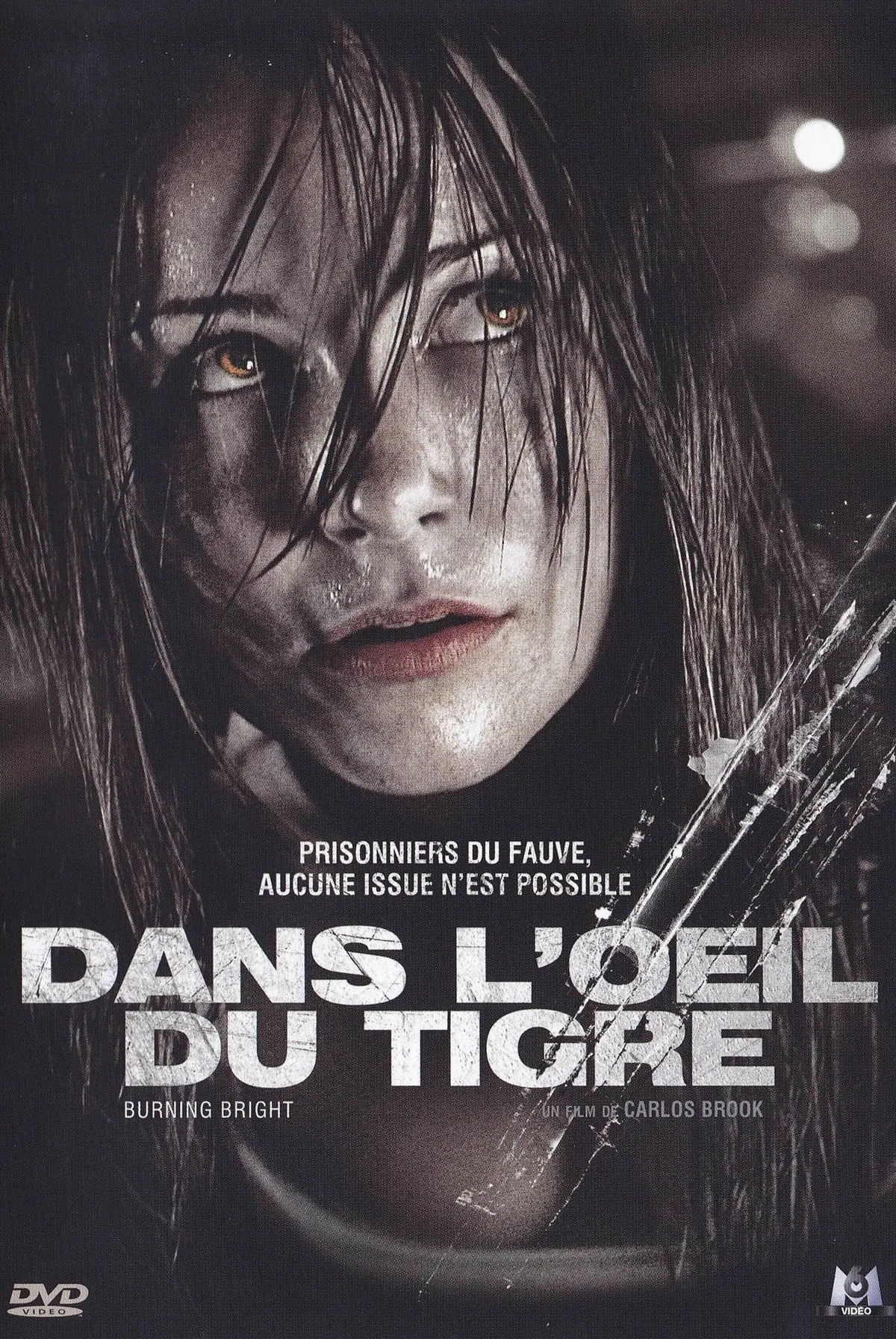 Dans l'oeil du tigre - Film (2010)