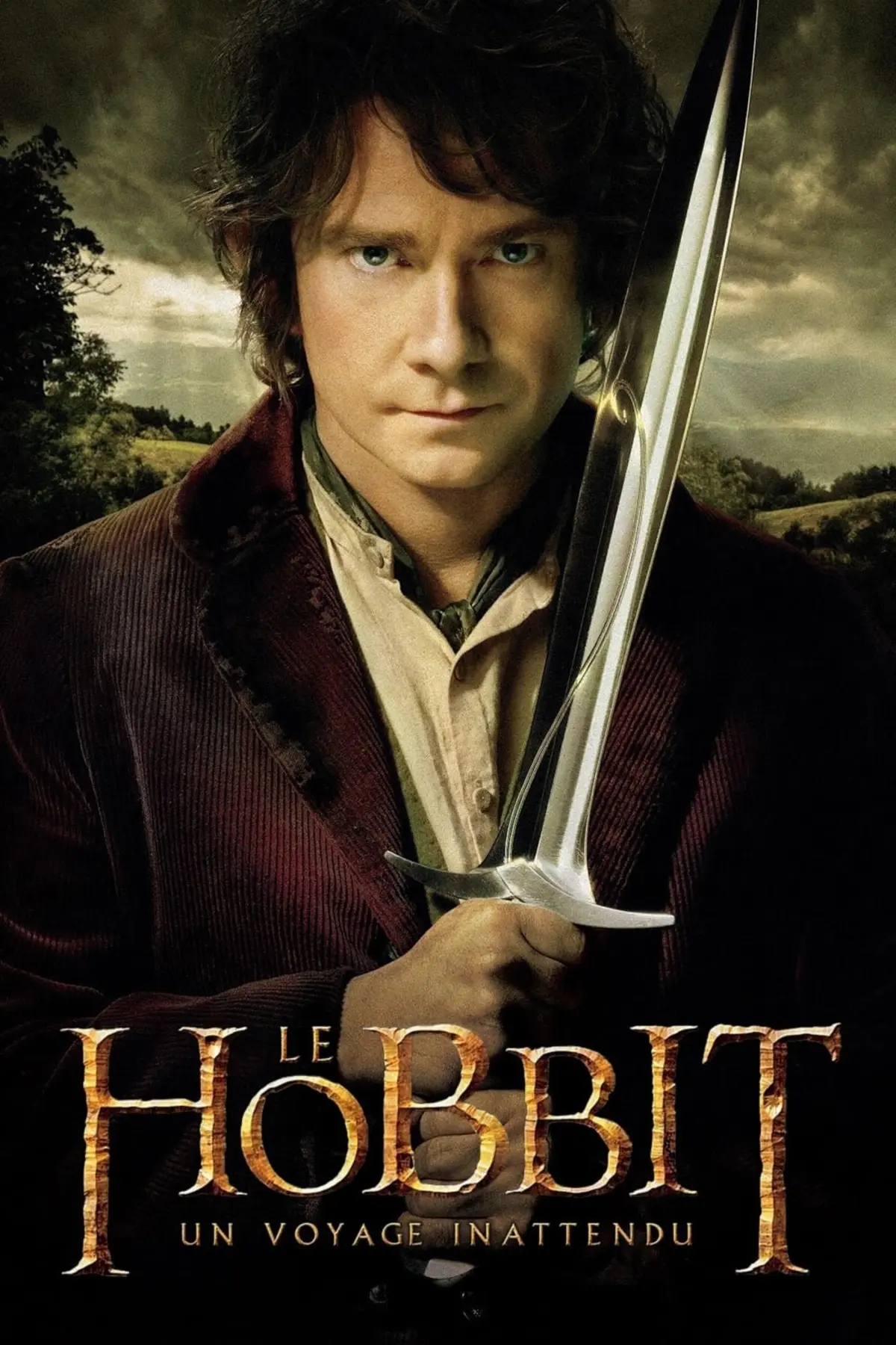 Le Hobbit : un voyage inattendu : regarder en streaming