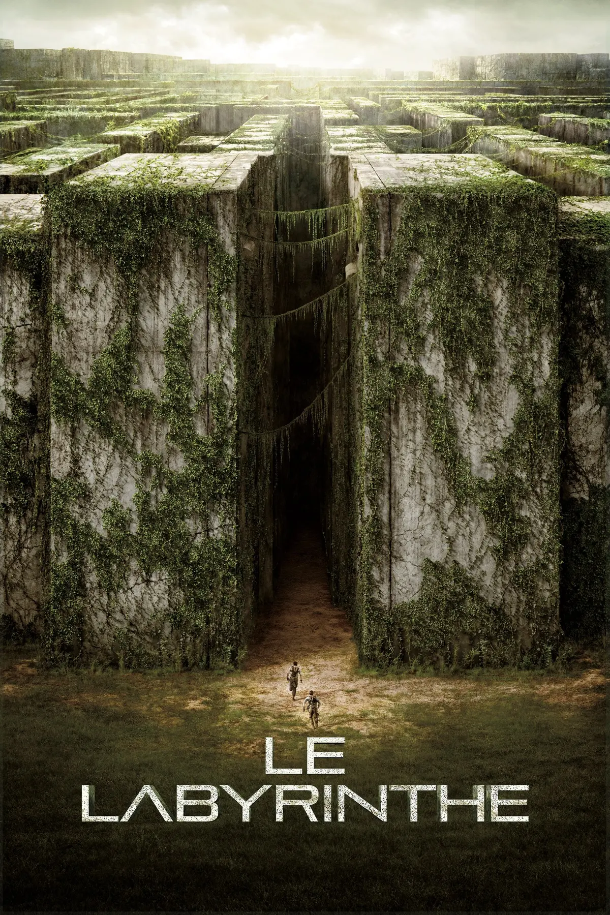 Le labyrinthe - Film (2014)