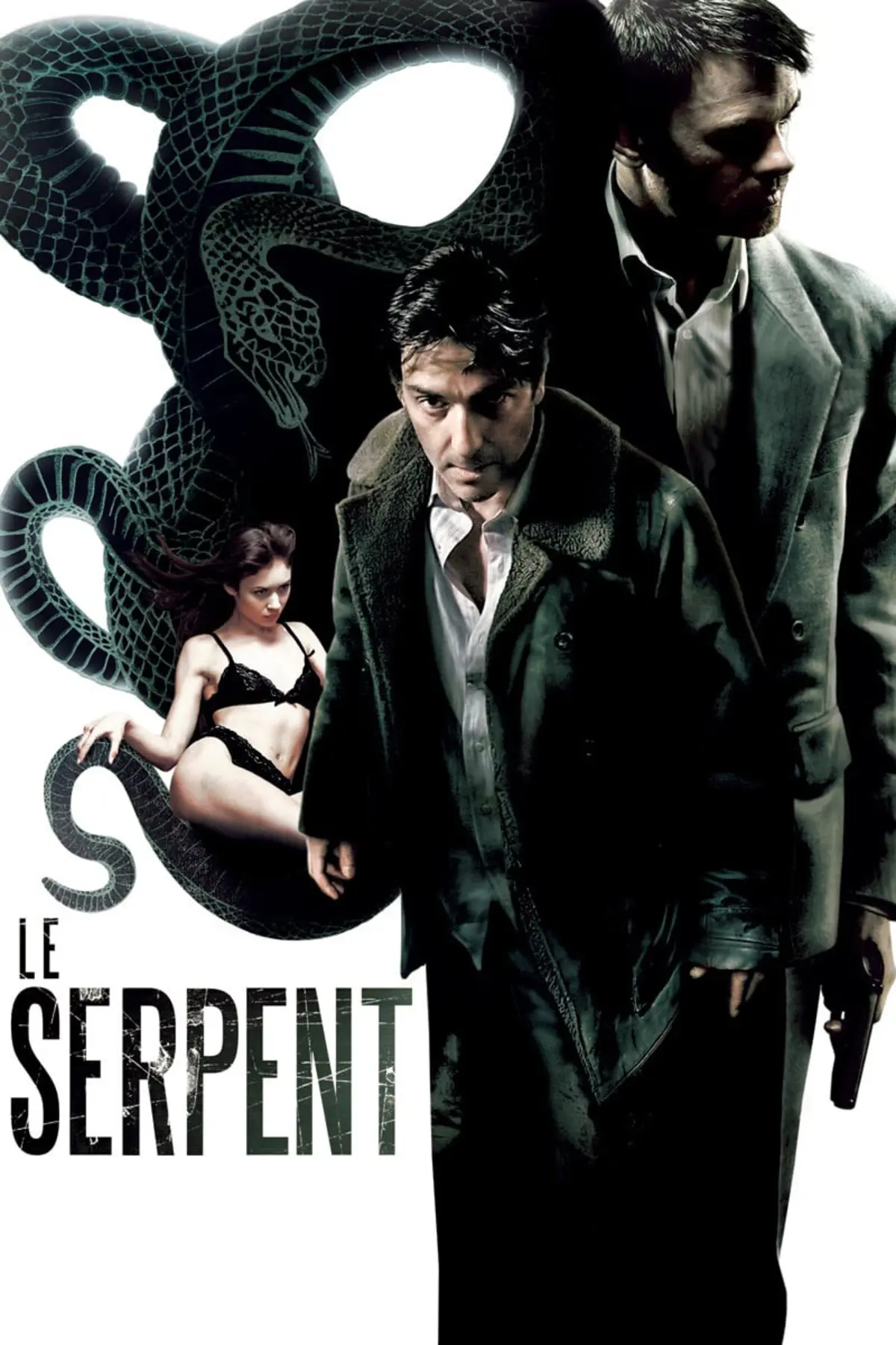Le serpent : regarder en streaming