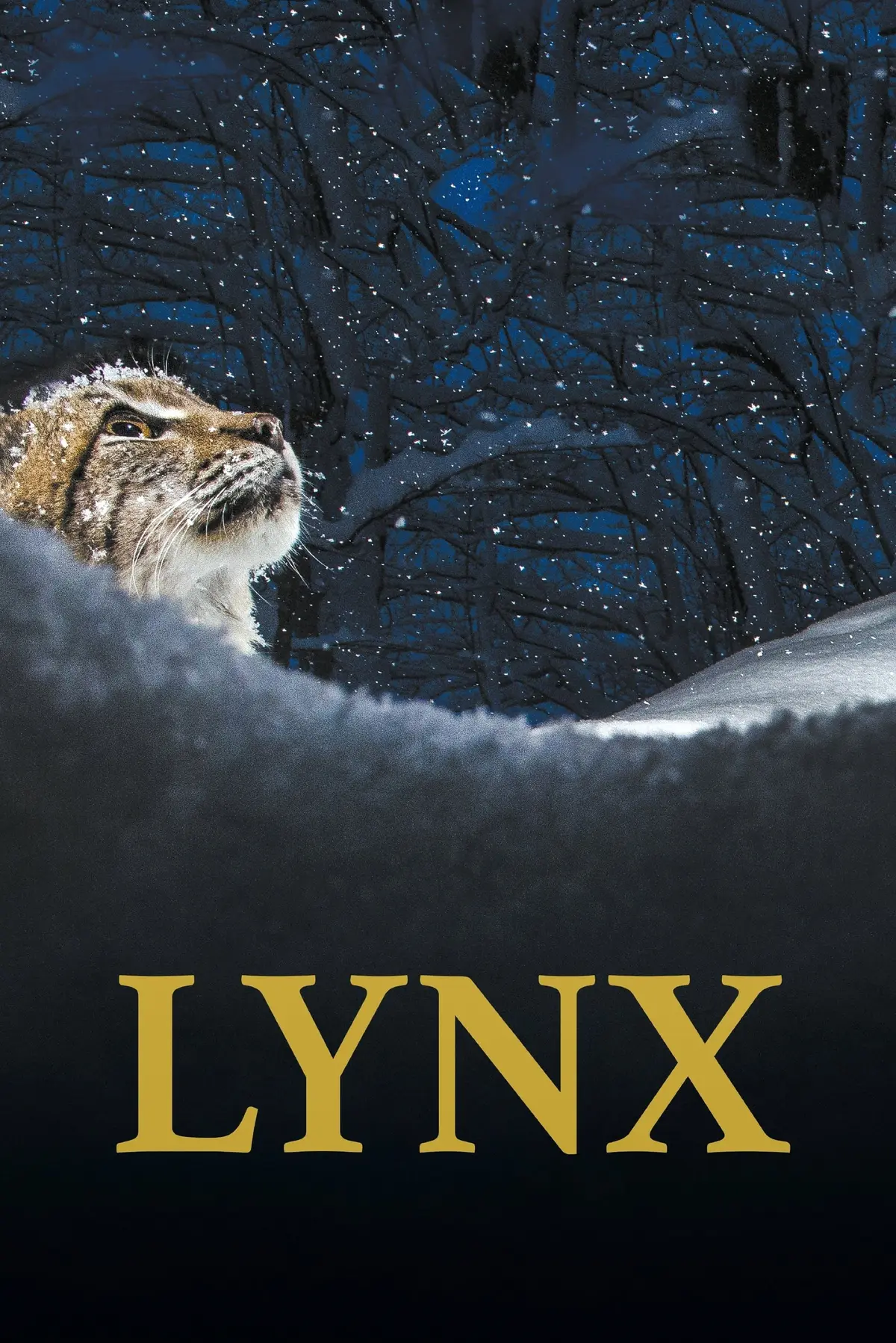 Lynx - Film (2021)