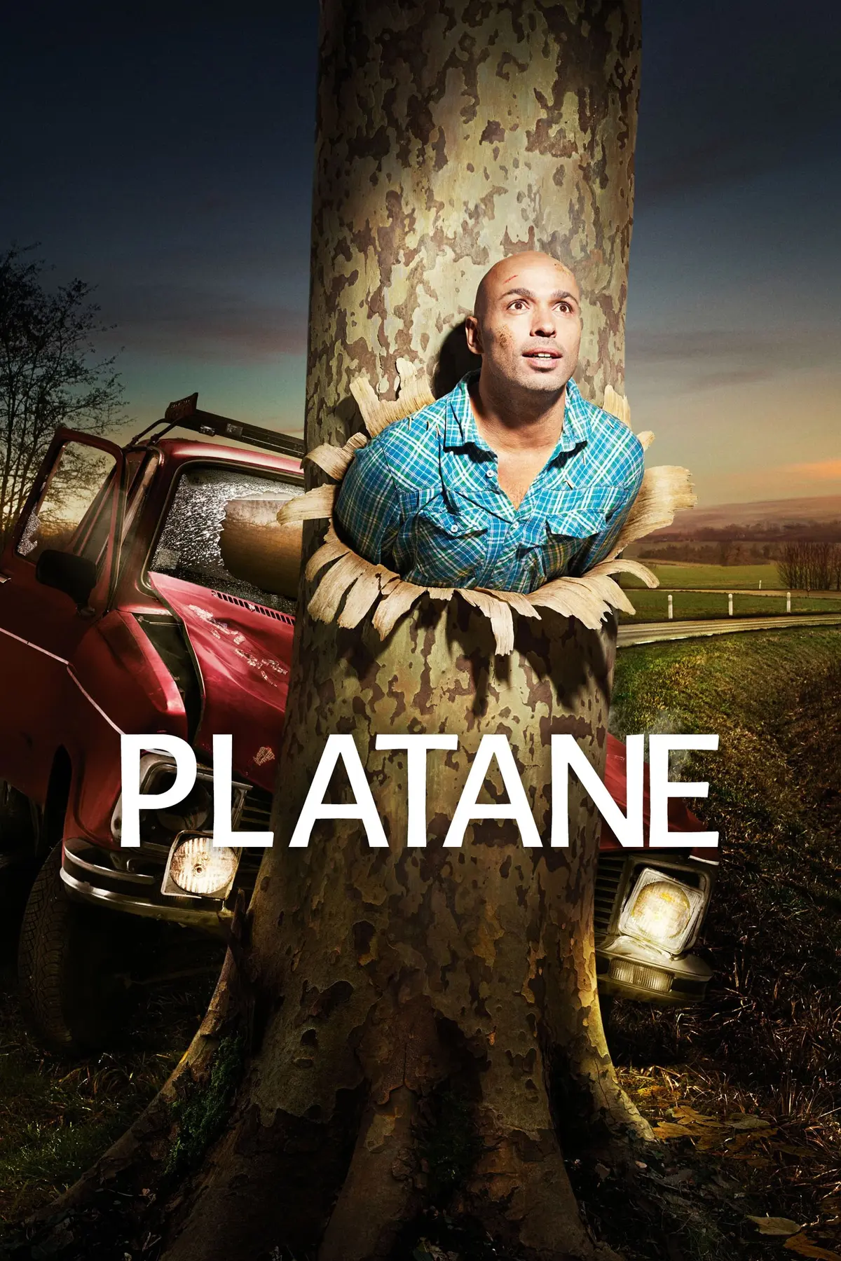 Platane : regarder en streaming
