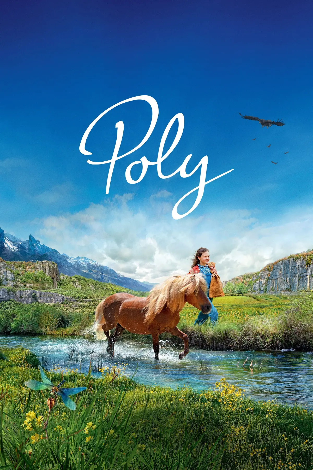 Casting Poly : acteurs, réalisateur